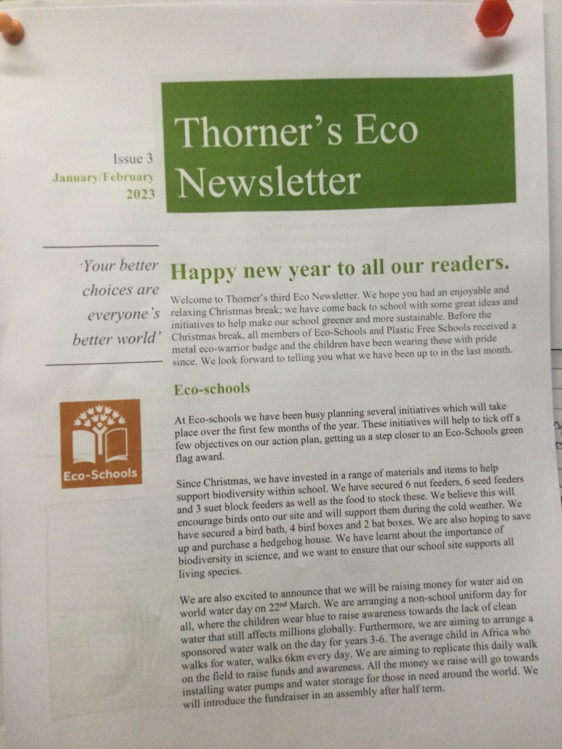 Eco School | Thorner's Church of England VA Primary School